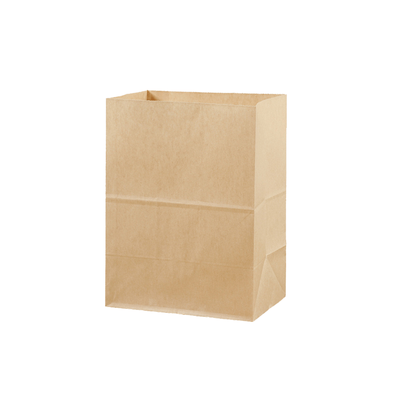 Paper Packaging Bags Greeniepack paper-packaging-bags-greeniepack